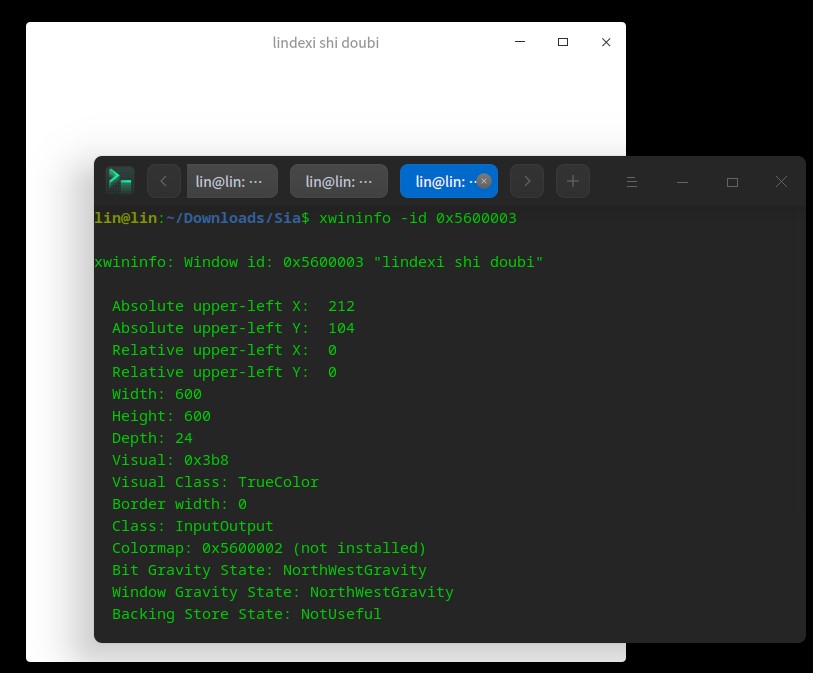 dotnet 如何从 Gtk 3 的窗口到对应的 X11 窗口